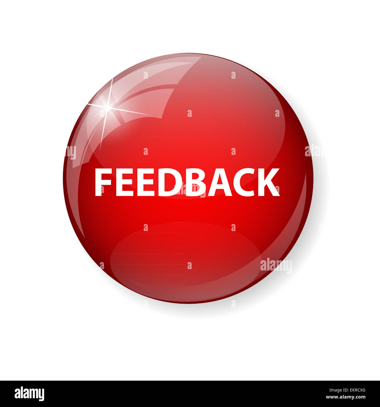 Realistic Glossy Feedback Computer Icon Button Vector Illustrat Stock ...