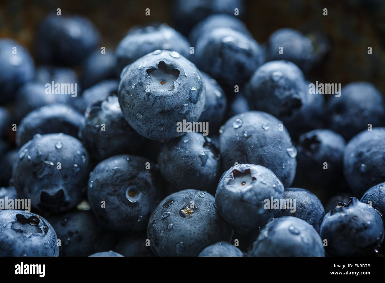 blueberries with water drops Stock Photo - Alamy