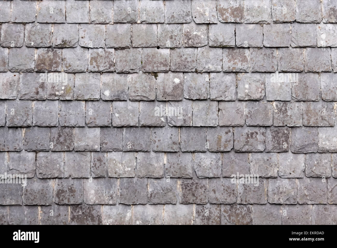 Shingles texture hi-res stock photography and images - Alamy
