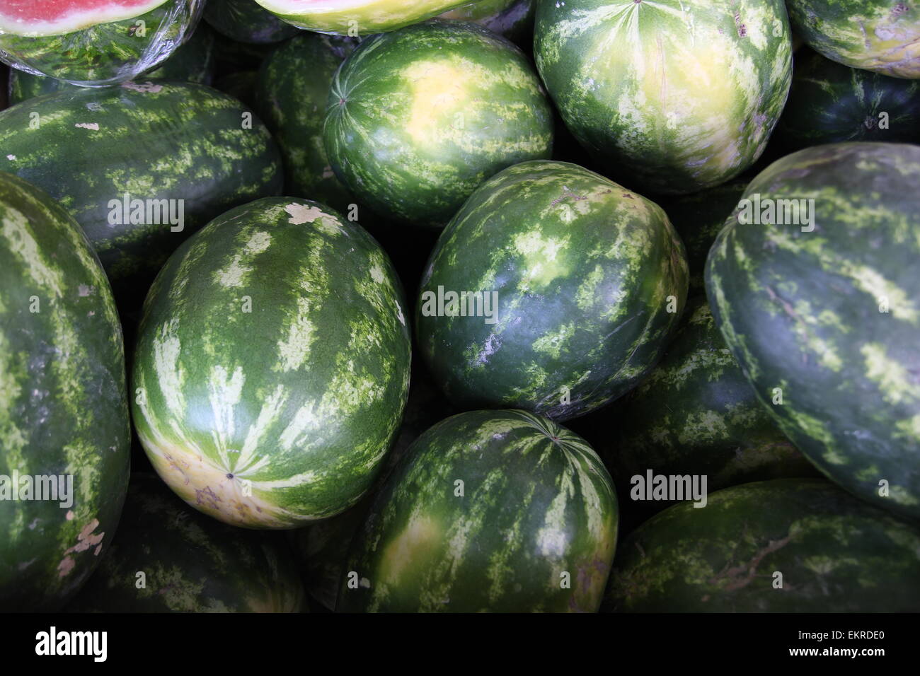 Gardening melons hi-res stock photography and images - Alamy