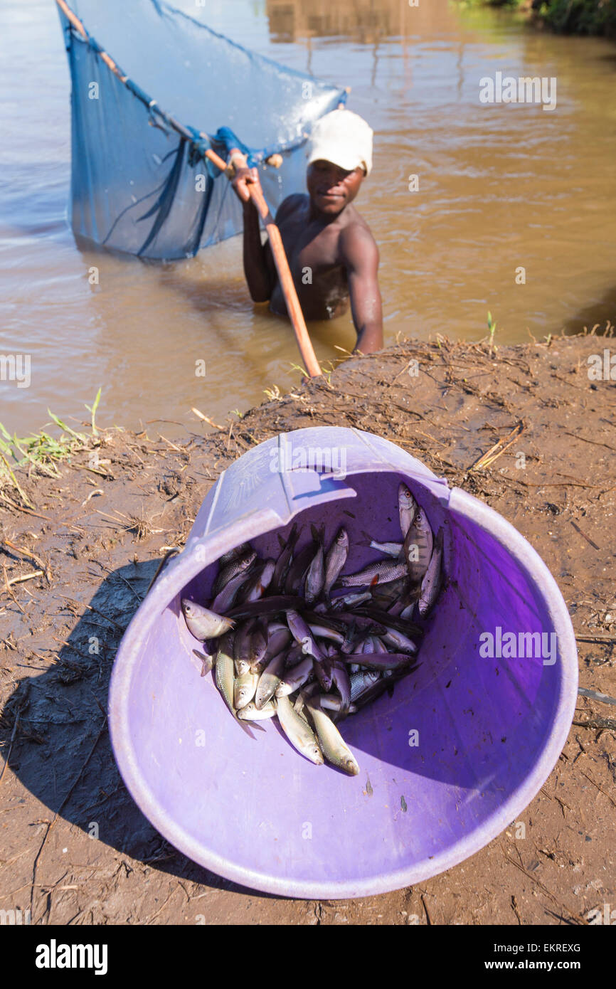 A fisherman catching small fish in the Shire river in Nsanje, Malawi ...