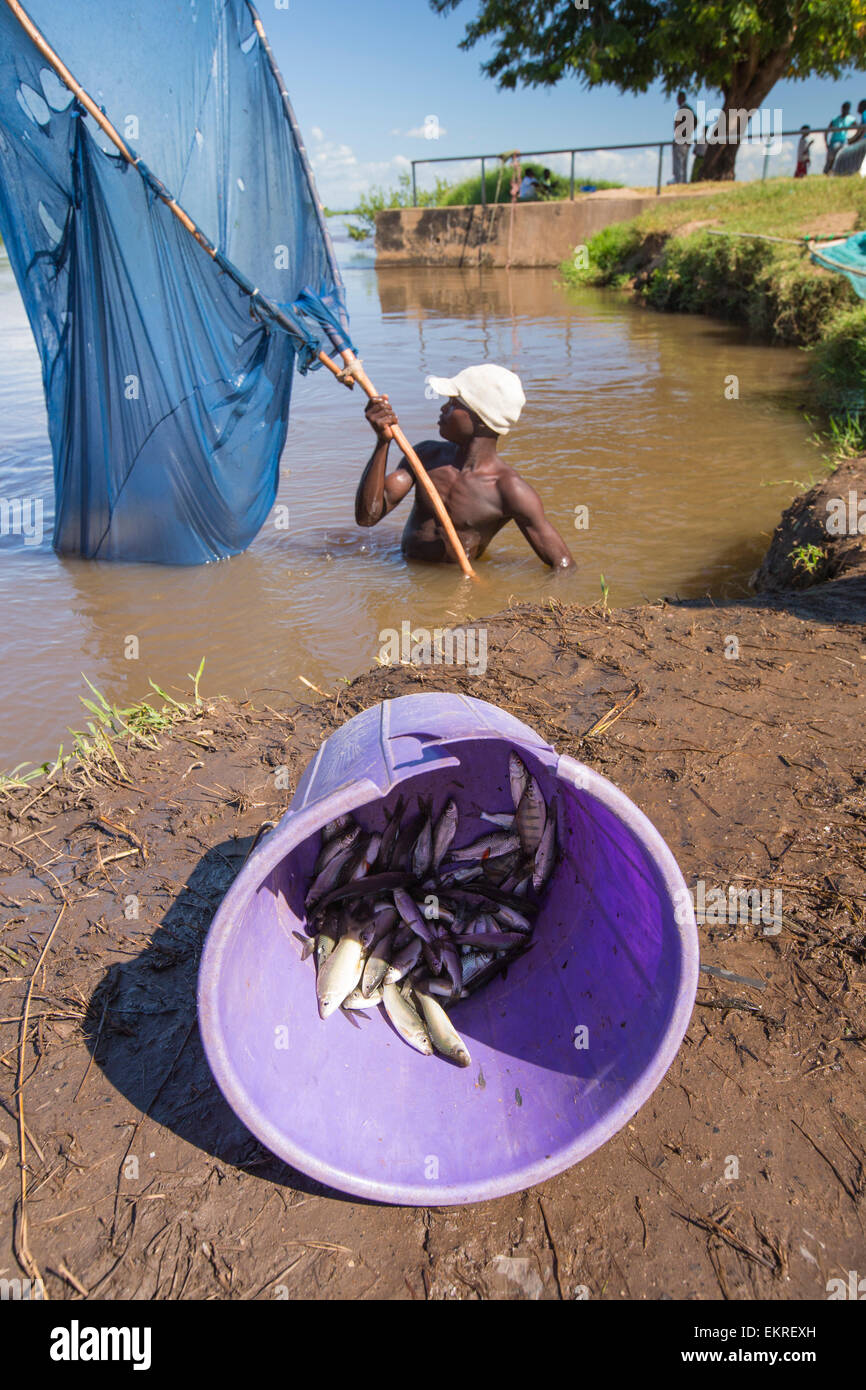 A fisherman catching small fish in the Shire river in Nsanje, Malawi ...