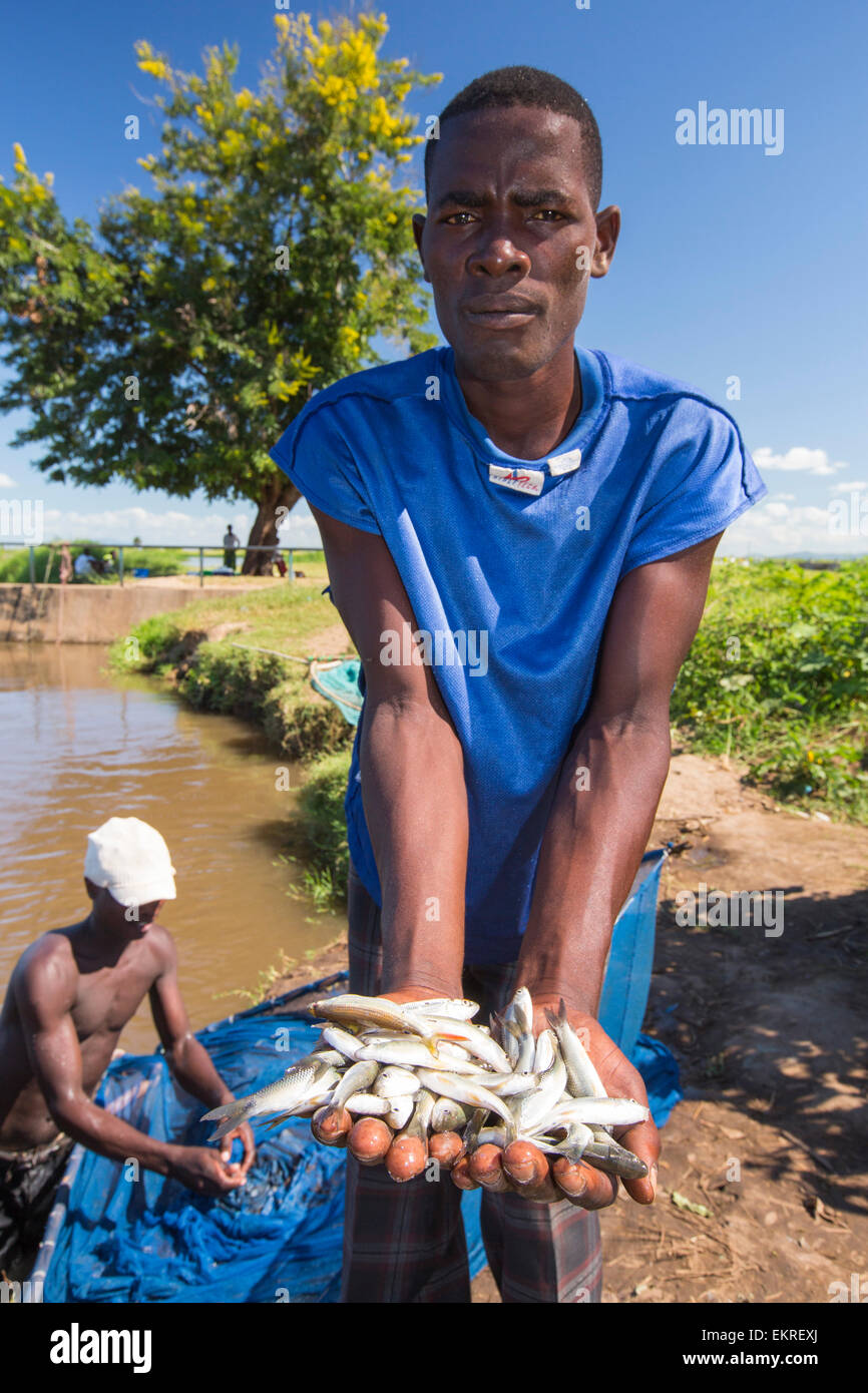 A fisherman catching small fish in the Shire river in Nsanje, Malawi ...