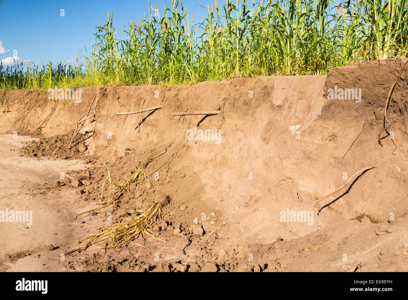 Crops destroyed by flooding hi-res stock photography and images - Alamy
