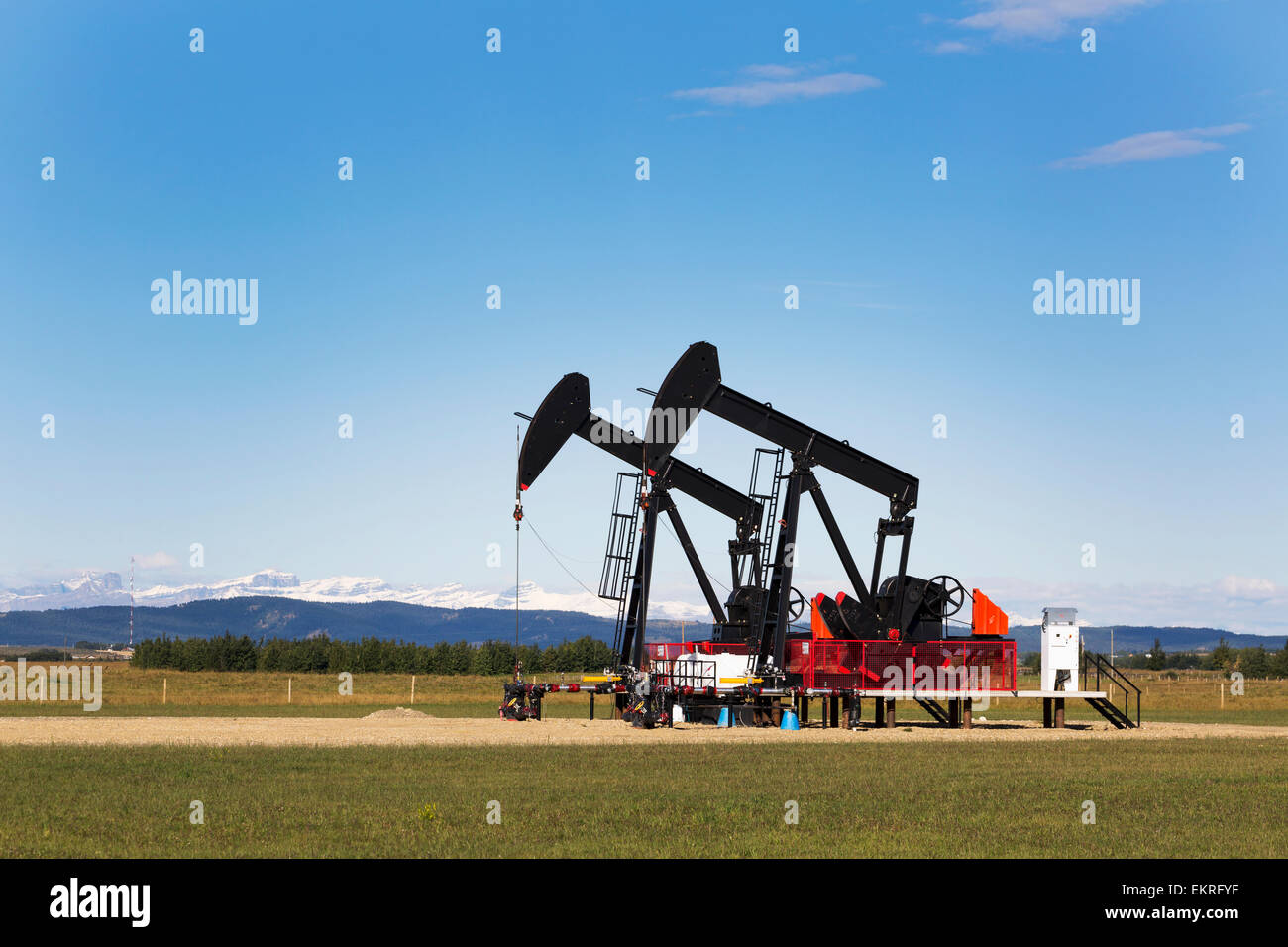 Black pump tree hi-res stock photography and images - Alamy