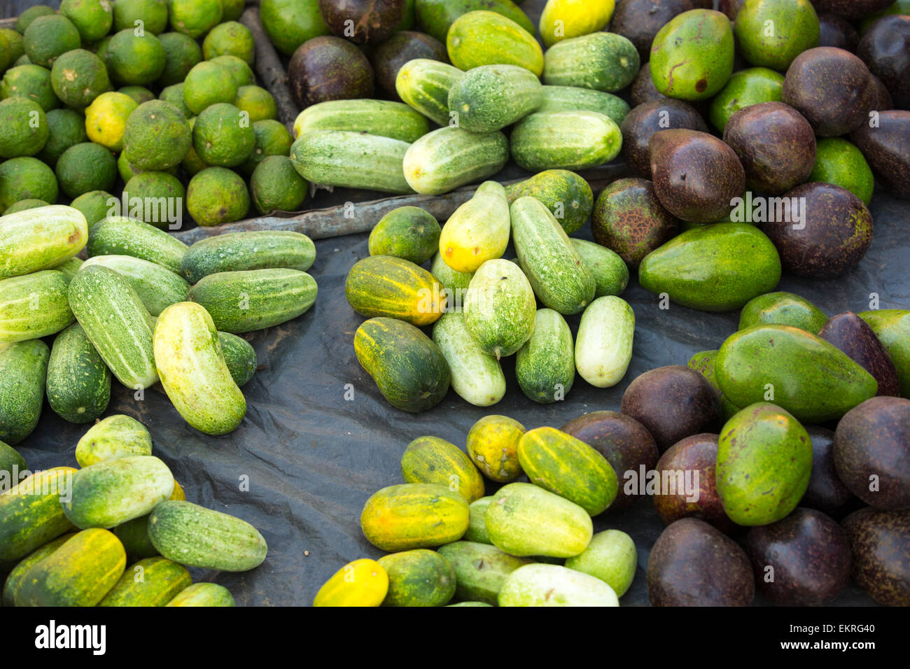 African Lime High Resolution Stock Photography and Images - Alamy