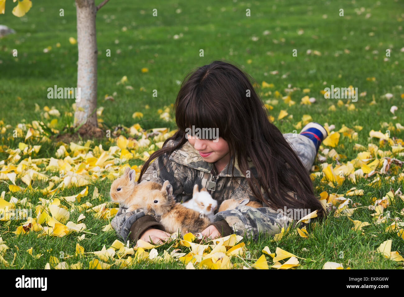 Young girl with mixed-breed rabbit babies; Higganum, Connecticut ...