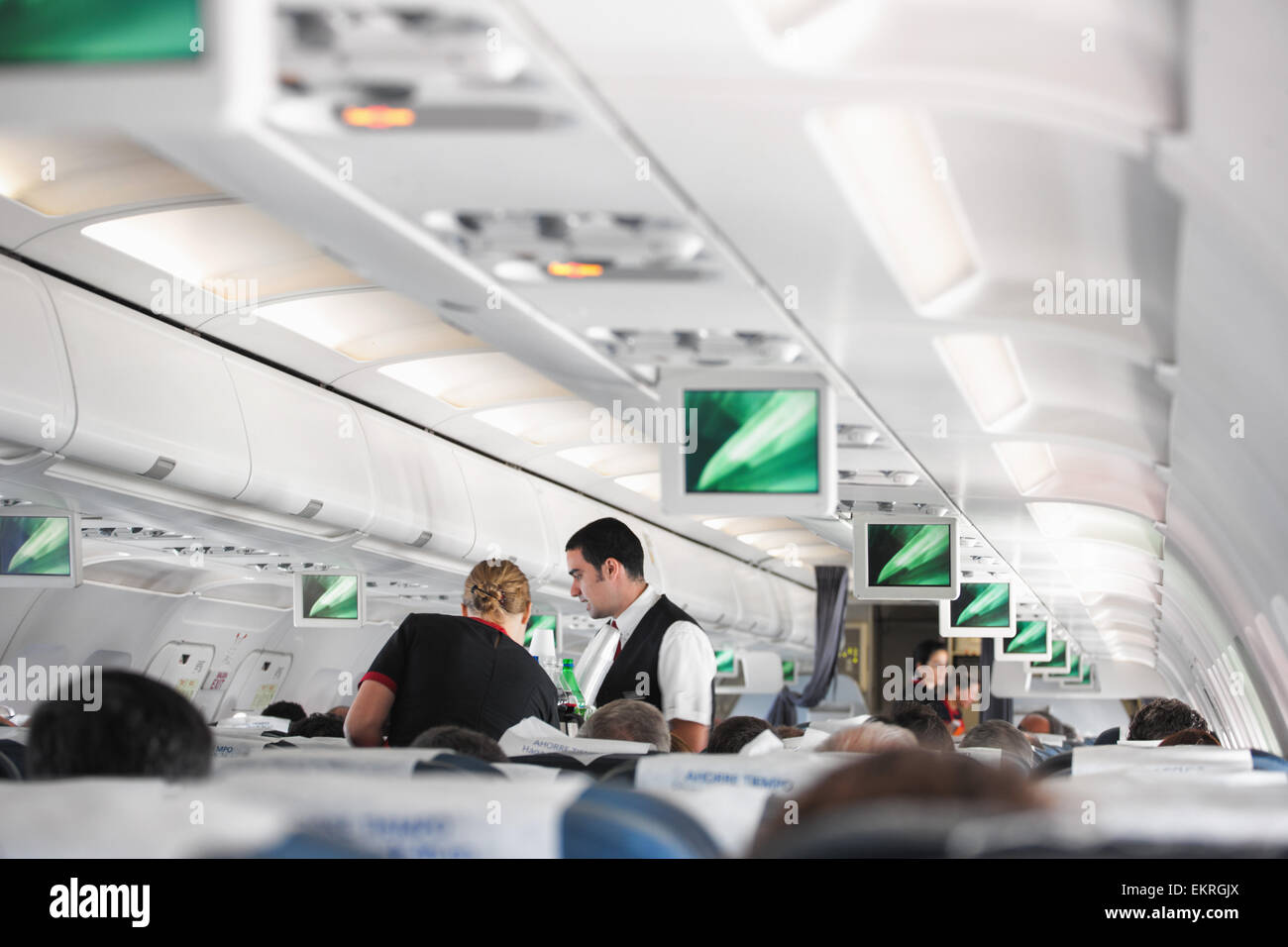 Passengers and staff crew in the plane cabin Stock Photo - Alamy