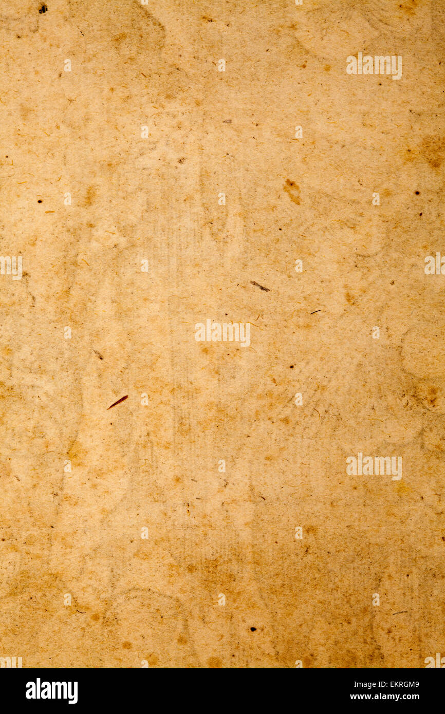 1614 Vintage Antique Retro French Parchment Paper Background in Beige ...