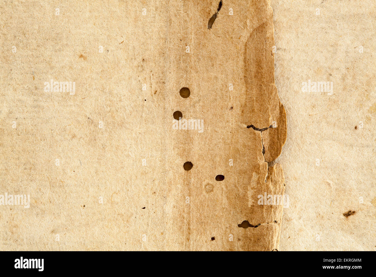 1614 Vintage Antique Retro French Parchment Paper Background in Beige ...