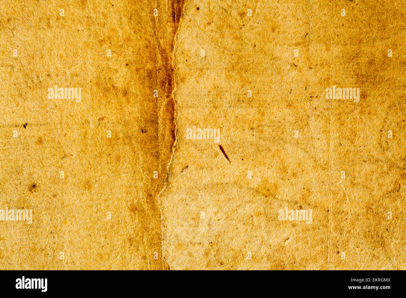 French Parchment Paper Background