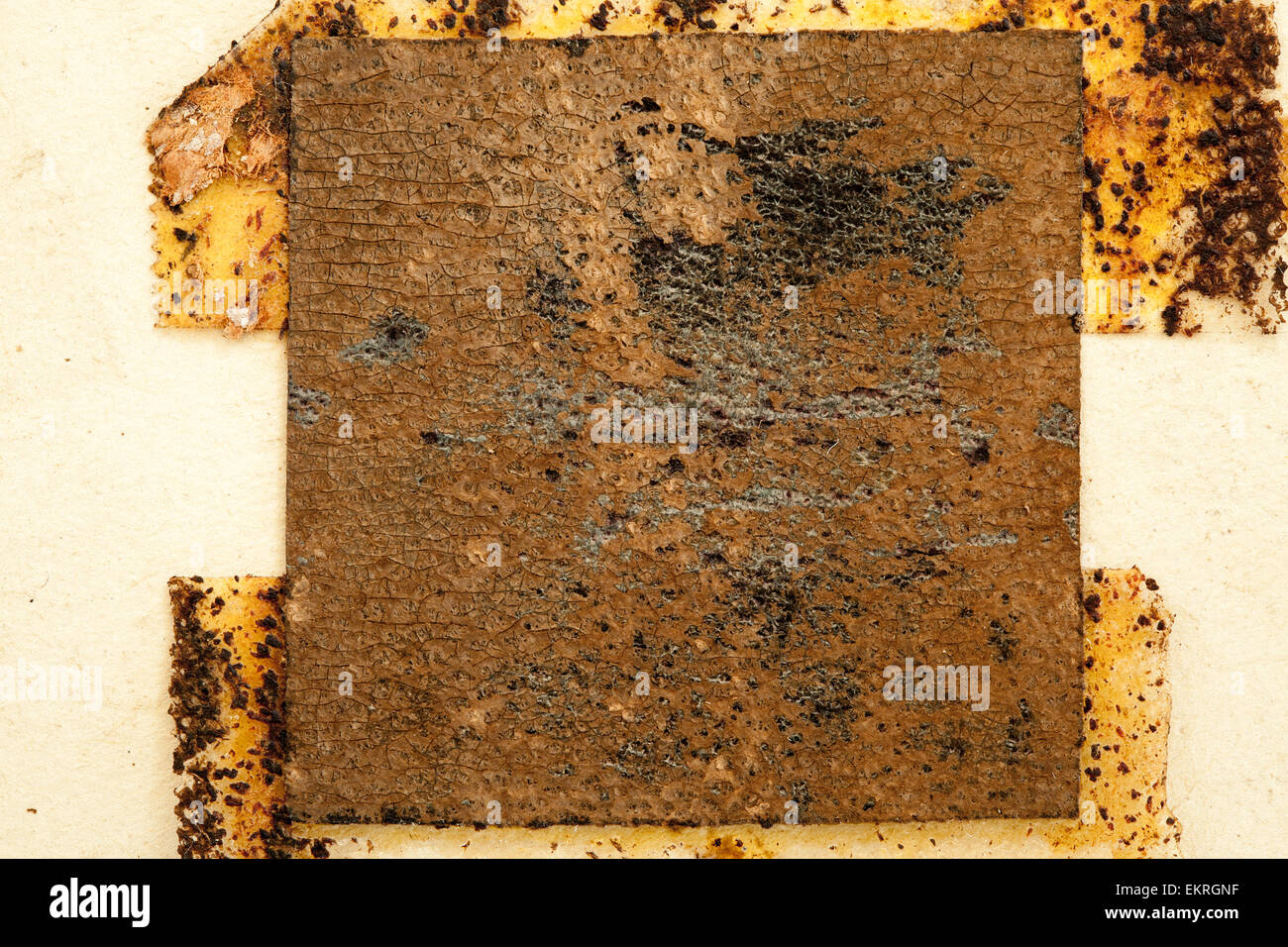 Brown tan leather book cover hi-res stock photography and images - Alamy