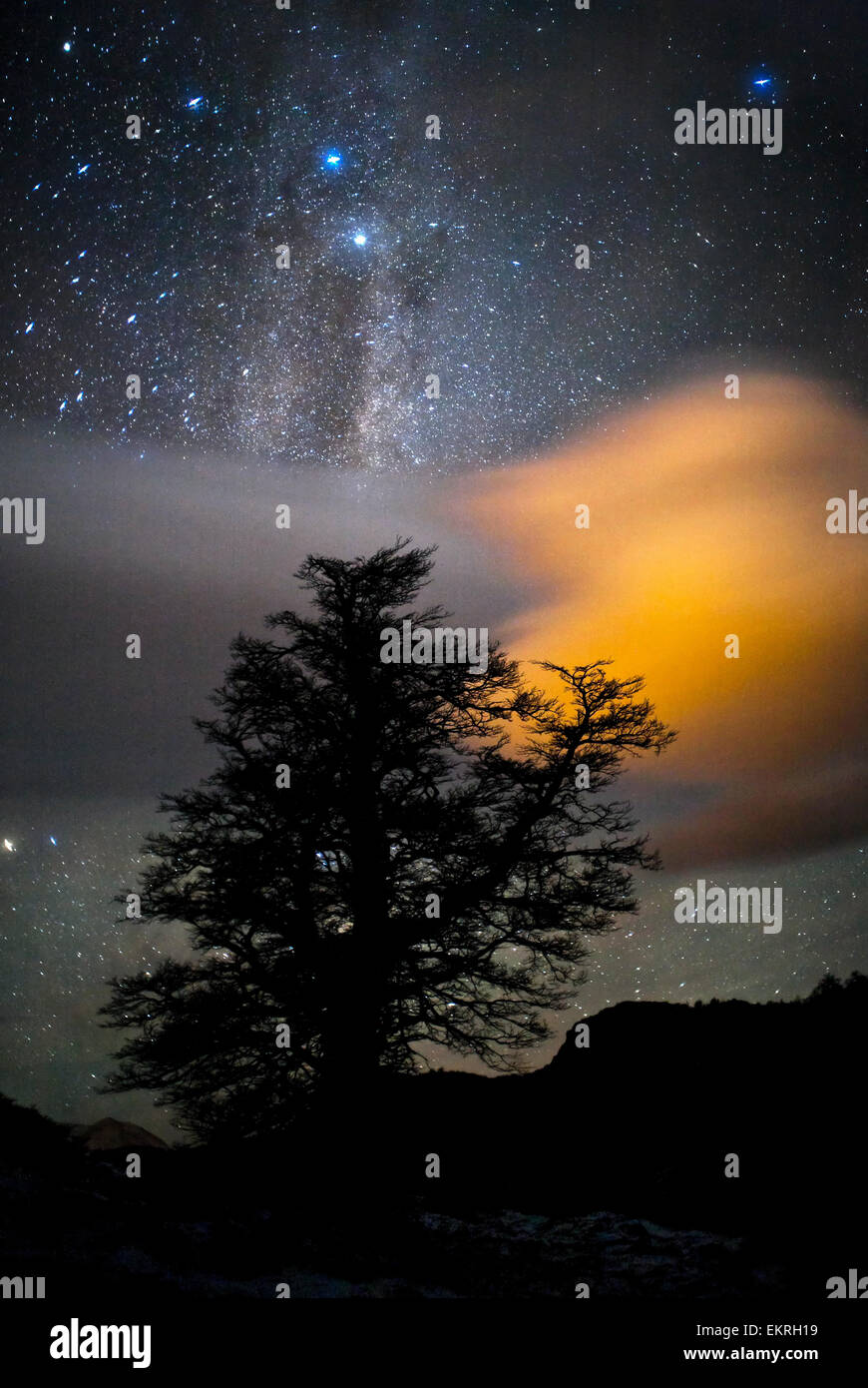 Milky way, tree and clouds. Amazing sky Stock Photo - Alamy