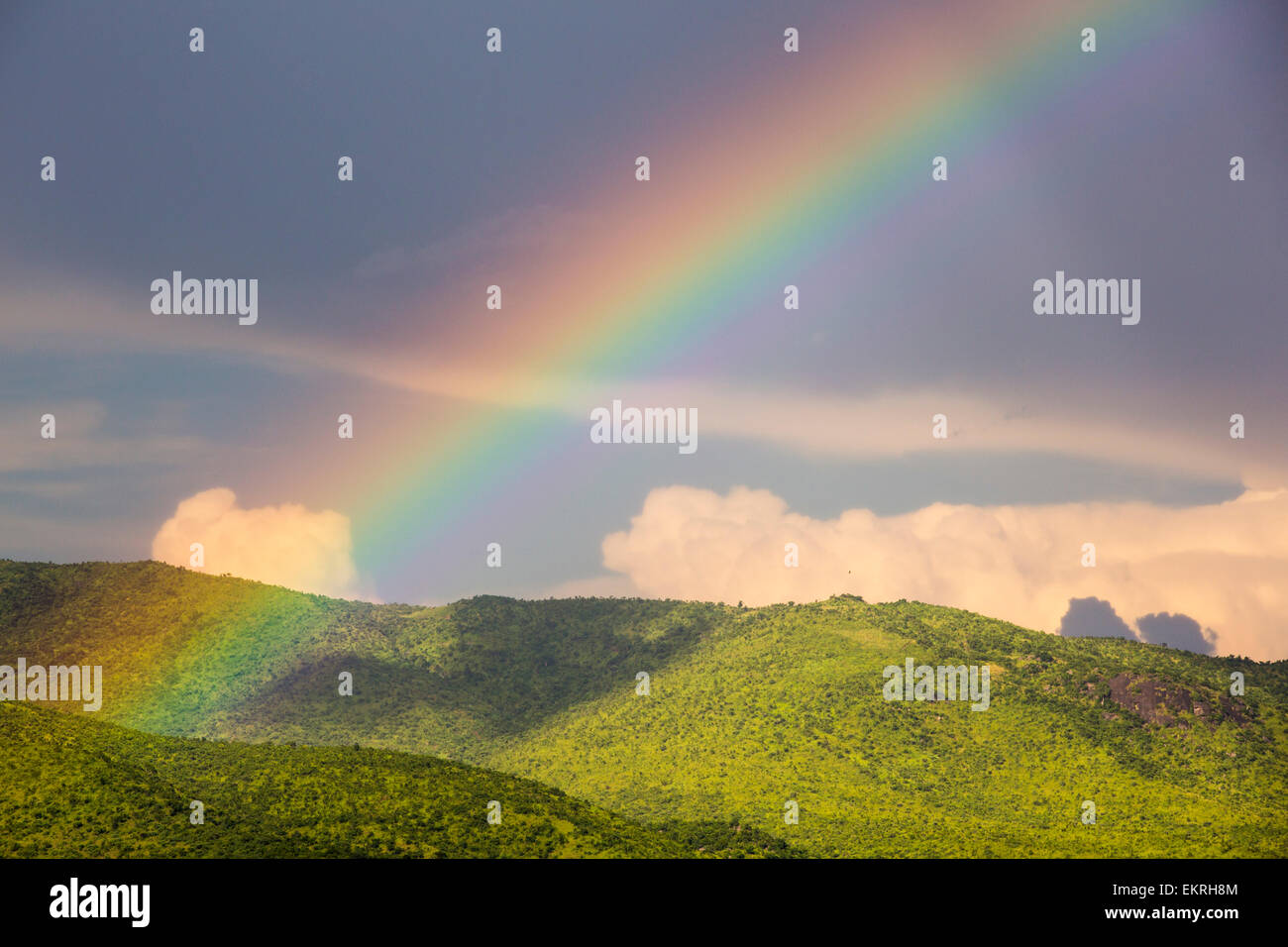 Shire valley hi-res stock photography and images - Alamy