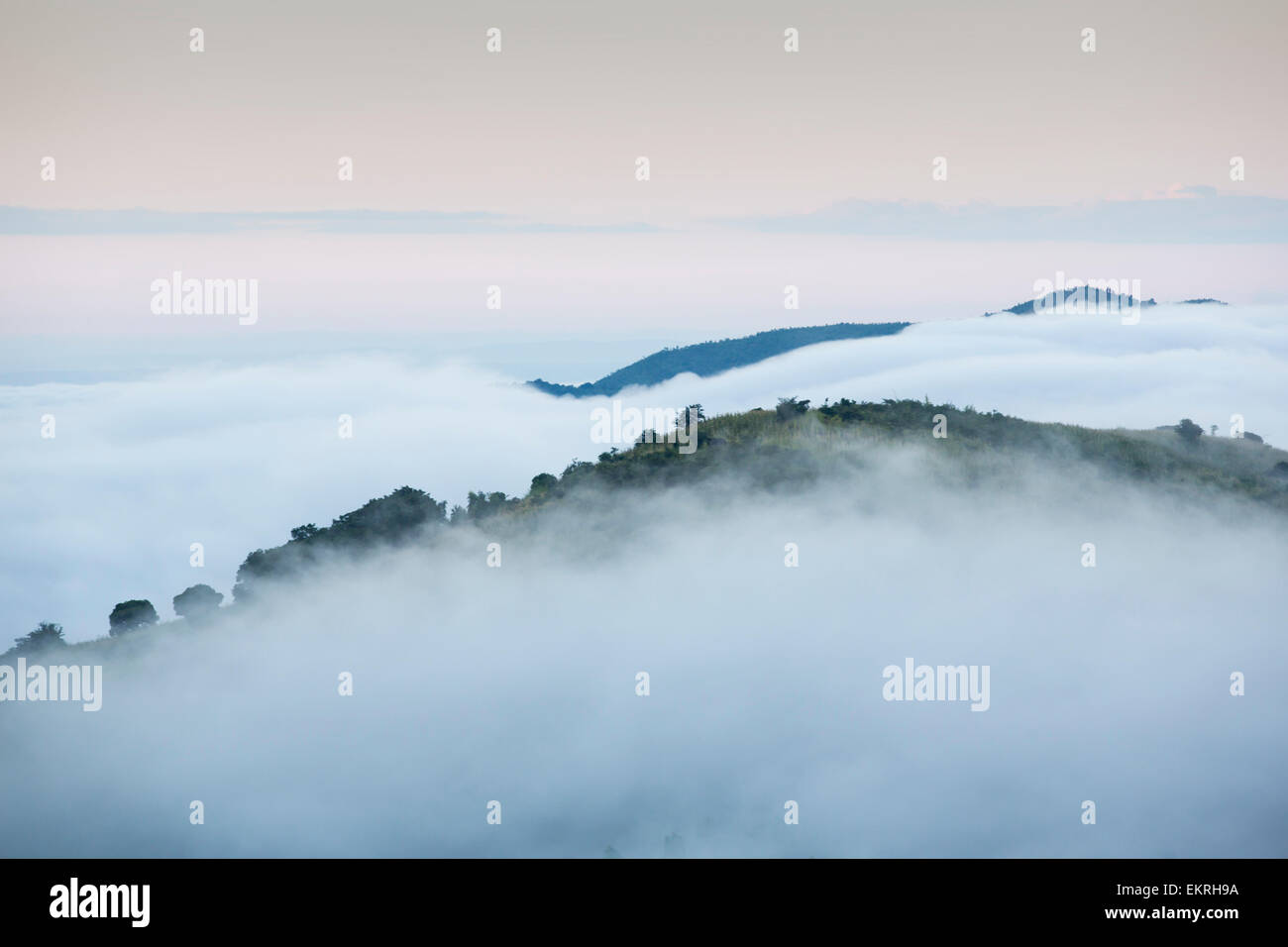 Morning Mist spilling down from the plateau into the lower shire river ...