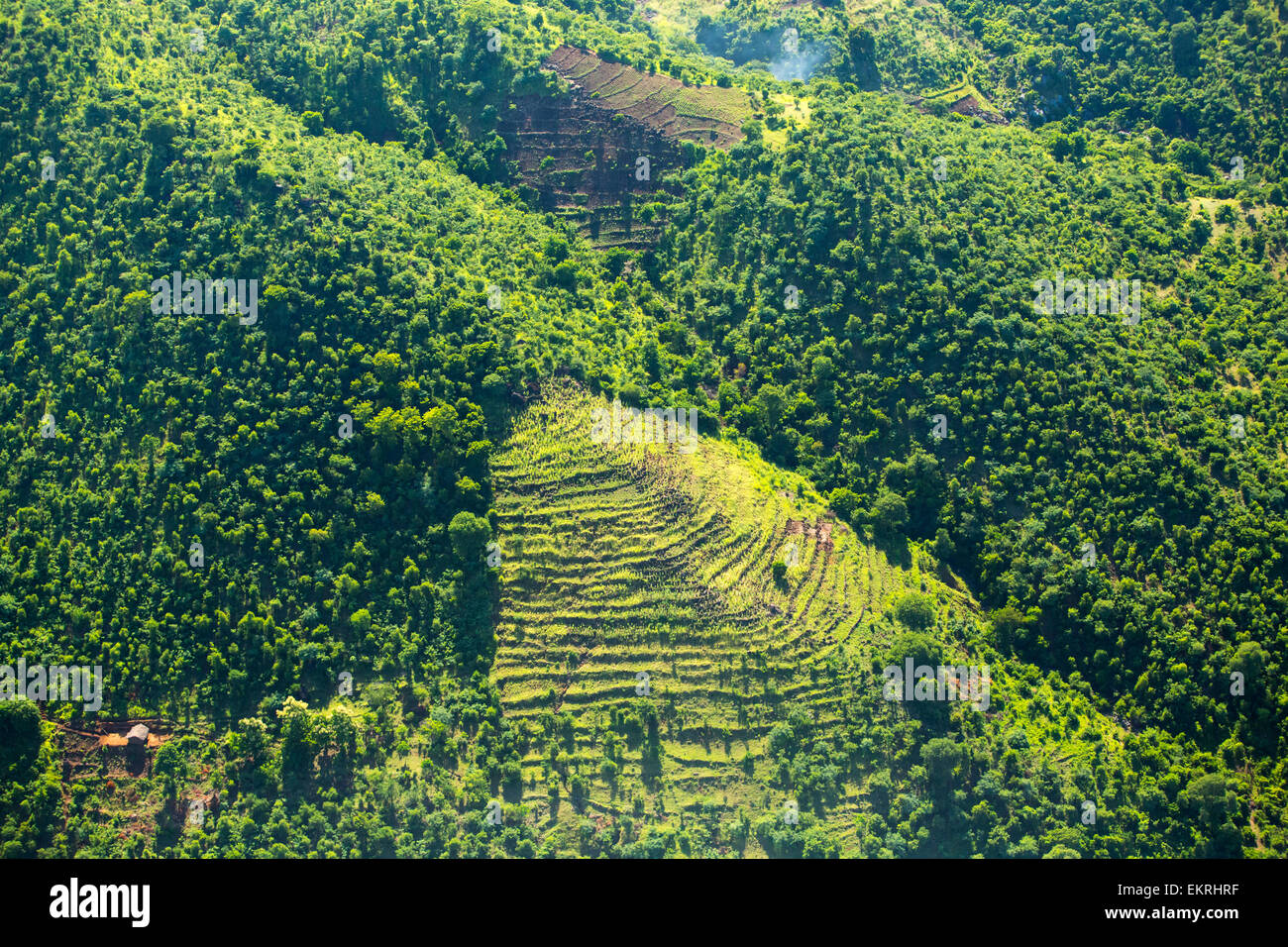 Looking down on deforested forest slopes from the air, being replaced ...