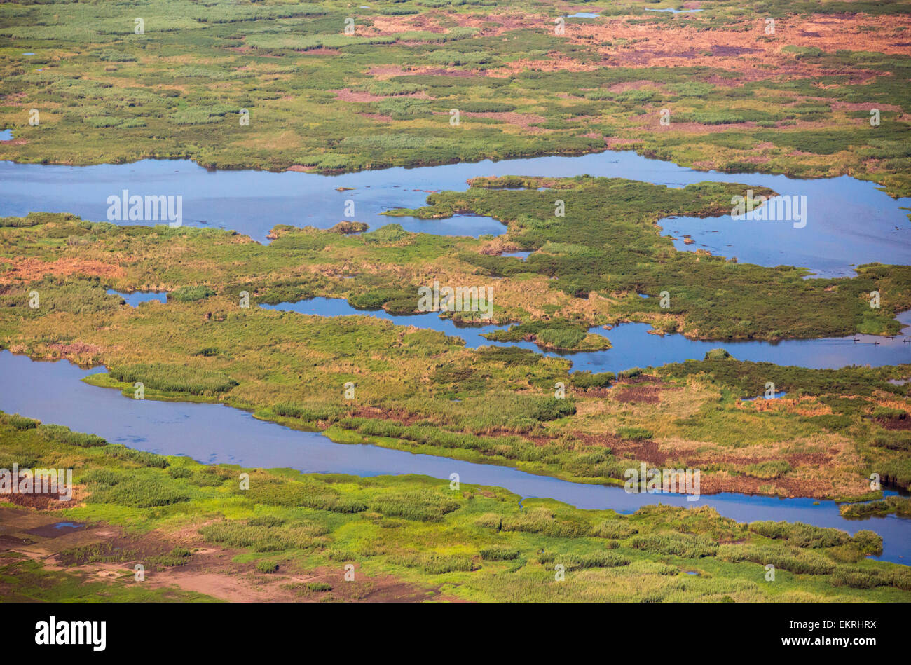 Mosaic elephant hi-res stock photography and images - Alamy