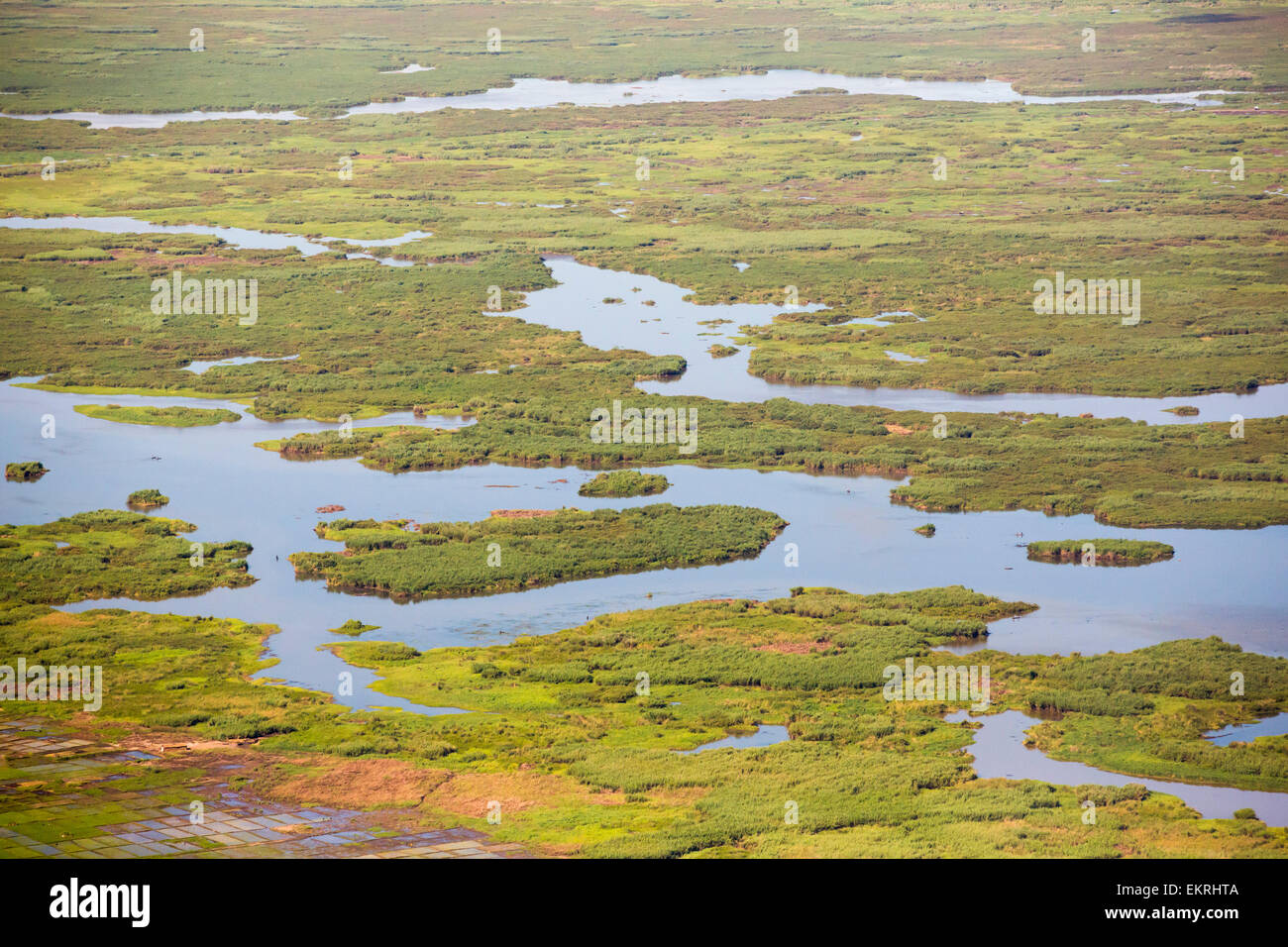 Mosaic elephant hi-res stock photography and images - Alamy