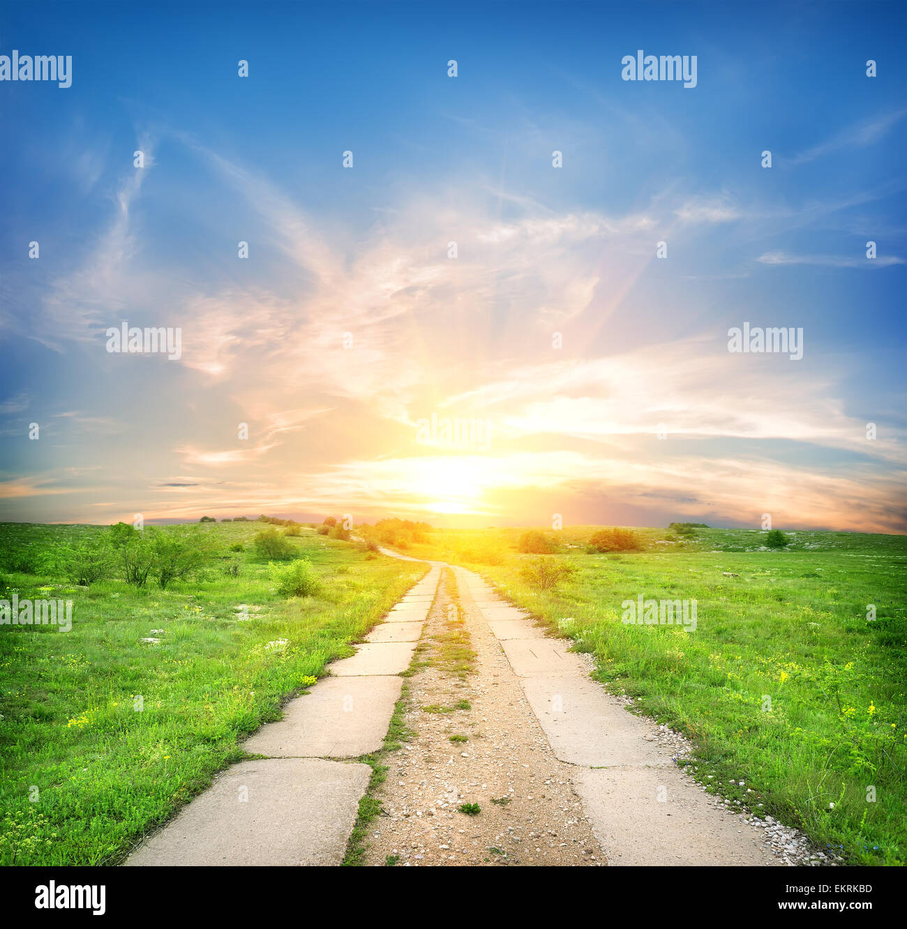 Concrete vibrant hi-res stock photography and images - Alamy