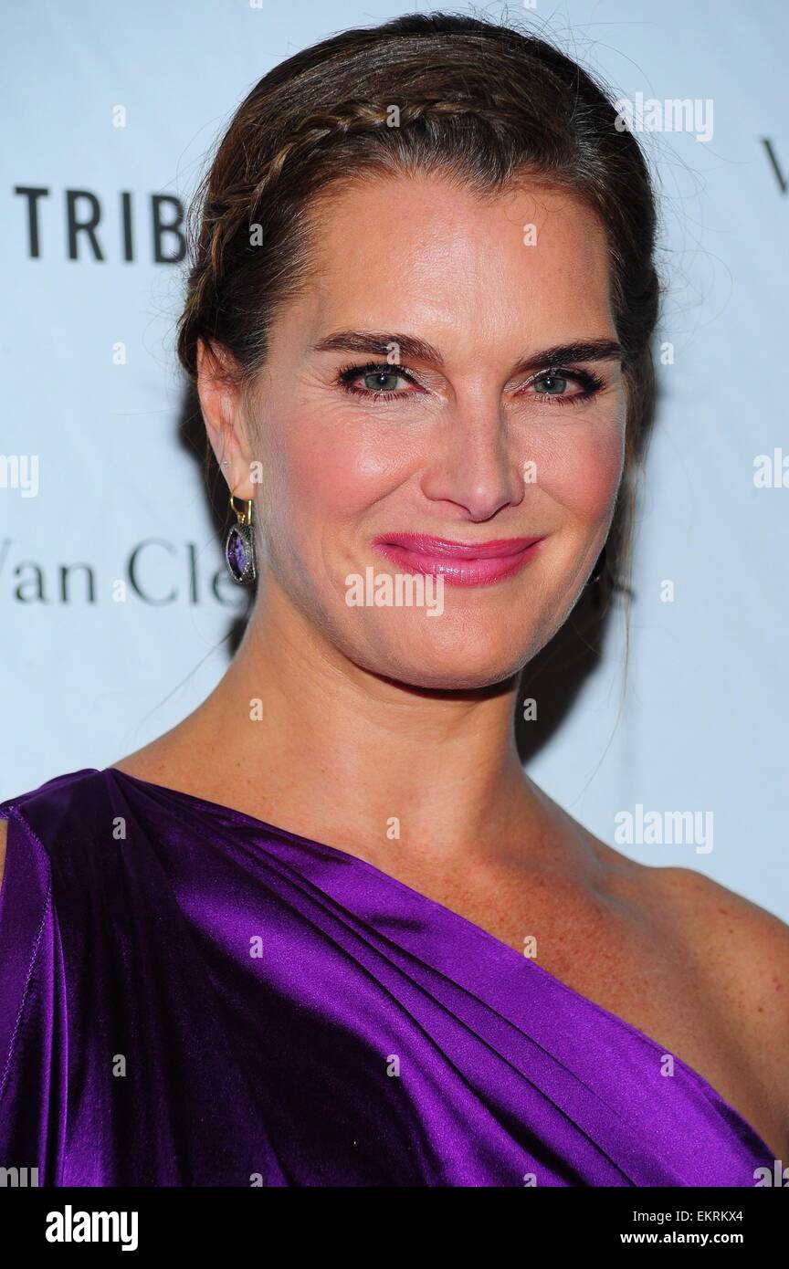 Brooke shields tribeca ball hi-res stock photography and images - Alamy