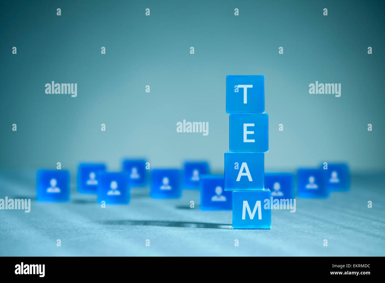 Human resources, team composition, team configuration, teamwork ...