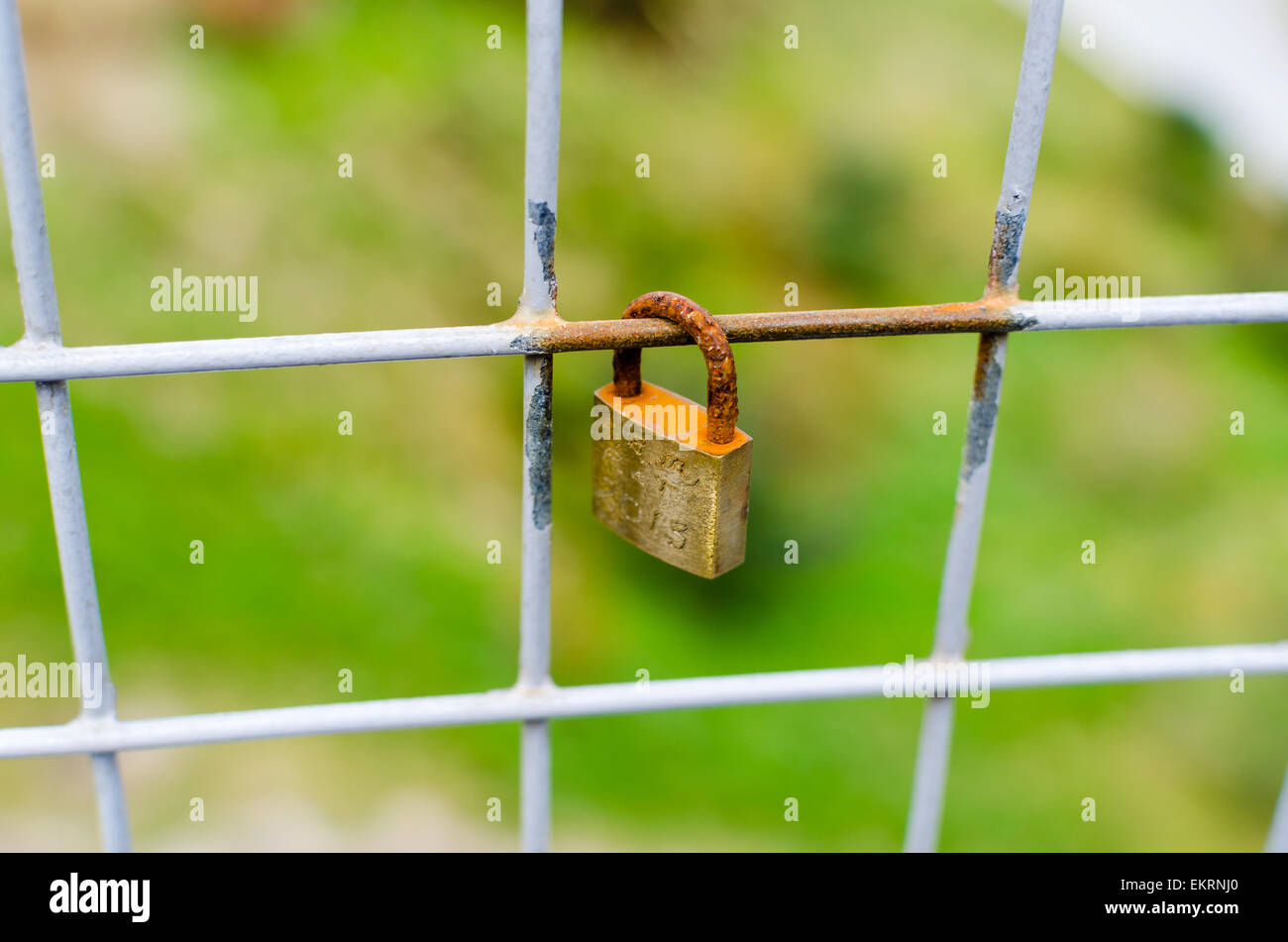 A rusty and closed padlock is locked onto a square metal fence with ...