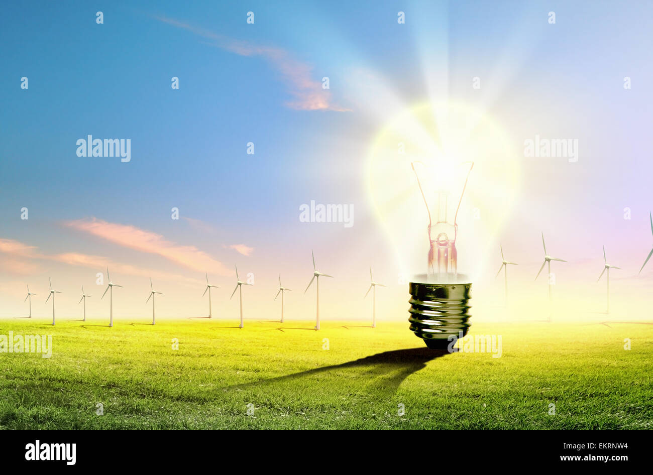Light bulb and nature Stock Photo - Alamy