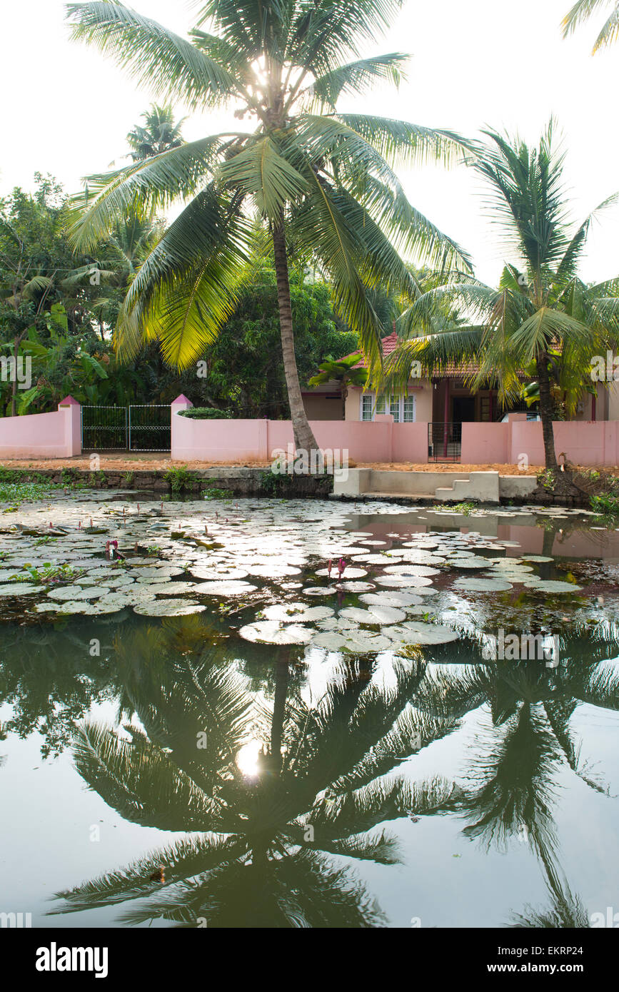 The Backwaters of Kumarakom, Kerala India Stock Photo - Alamy