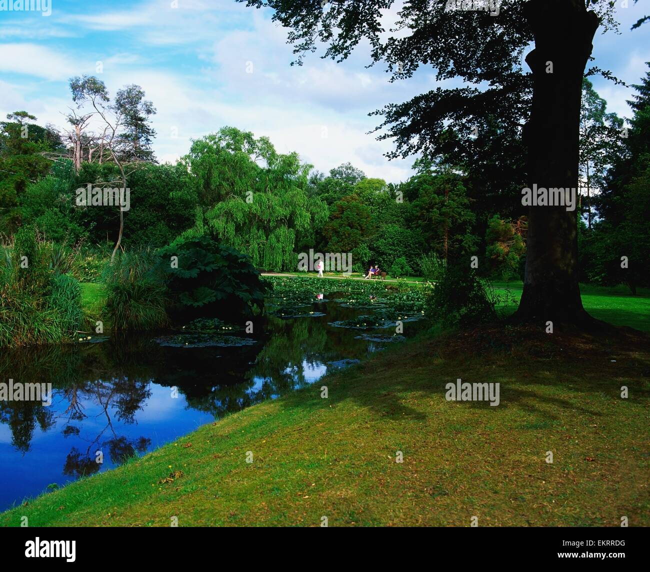 Fota Gardens, Fota Island, Co Cork, Ireland Stock Photo - Alamy