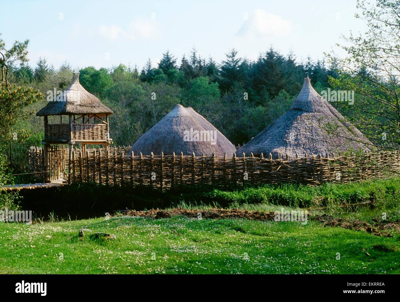 Ferrycarrig, Co Wexford, Ireland, Irish National Heritage Park Stock ...