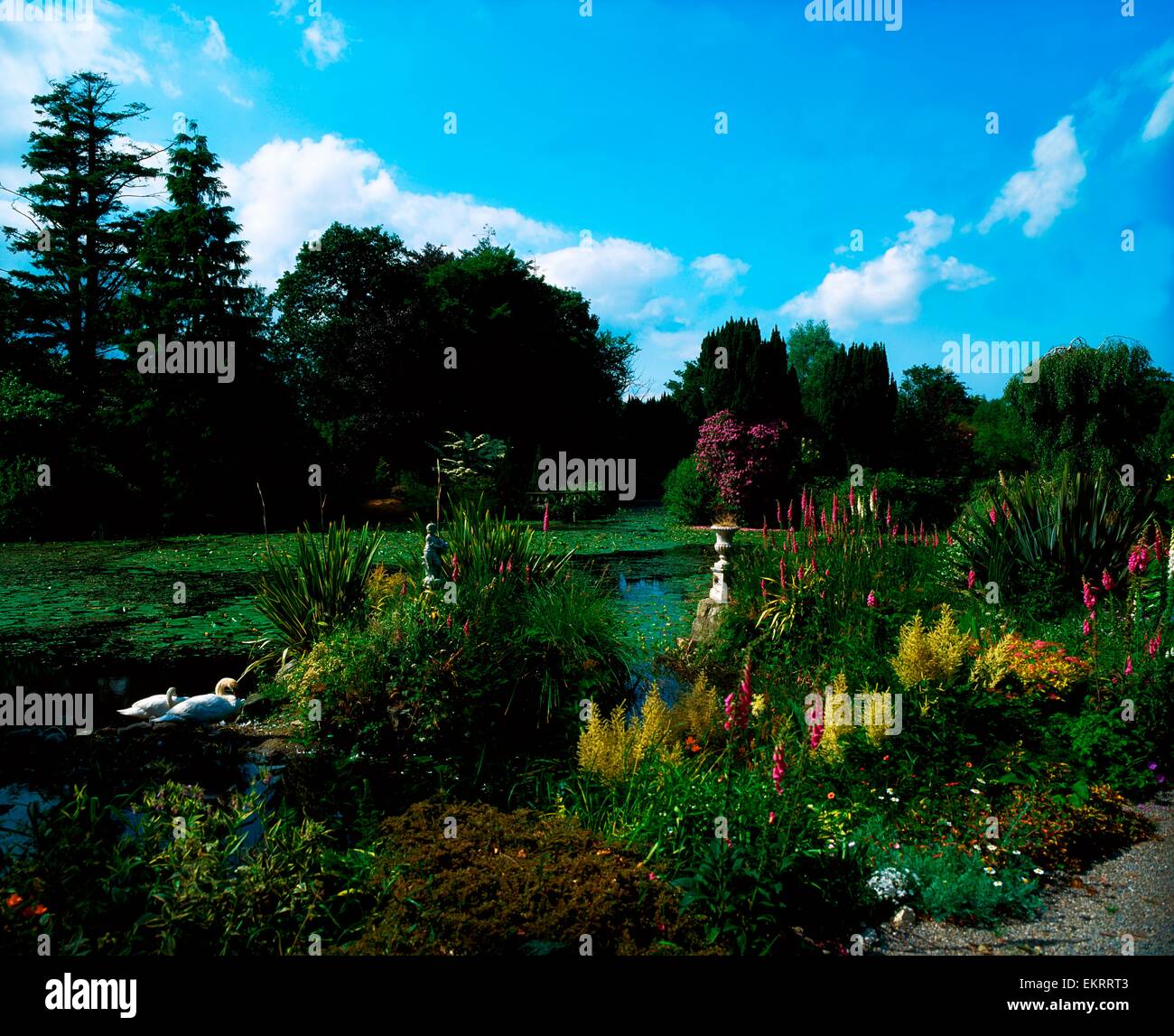 County Carlow, Tullow, Altamont Garden, Ireland Stock Photo - Alamy
