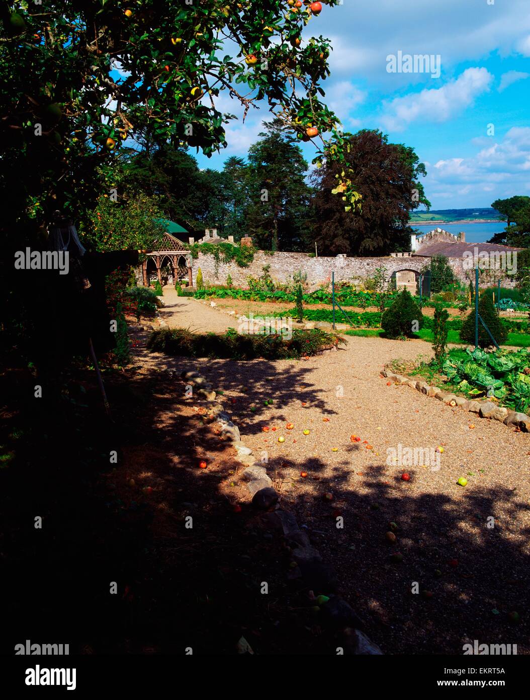 Glin Castle, Co Limerick, Ireland; 18Th Century Castle's Walled Garden ...