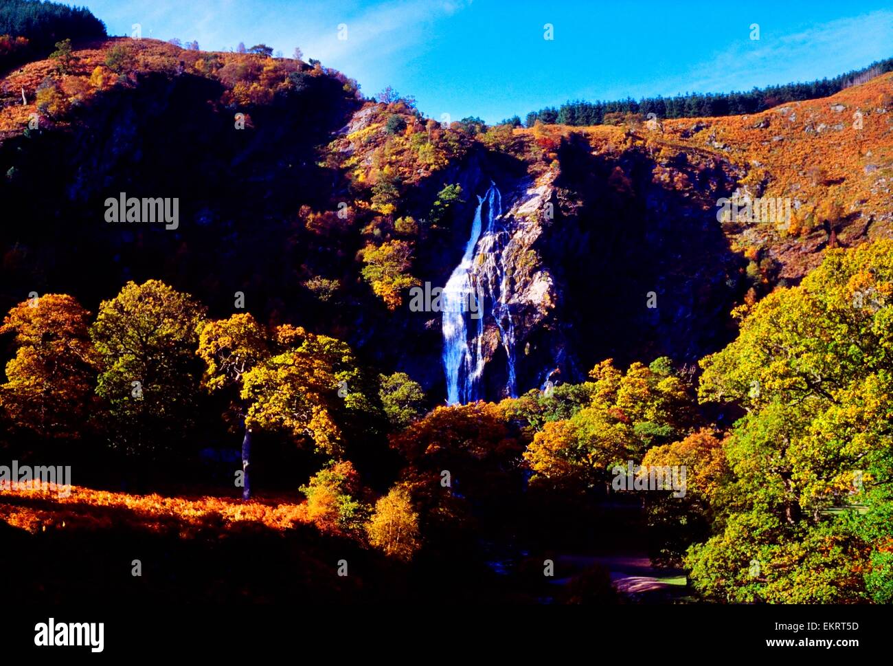 Co Wicklow, Powerscourt Waterfall Stock Photo - Alamy