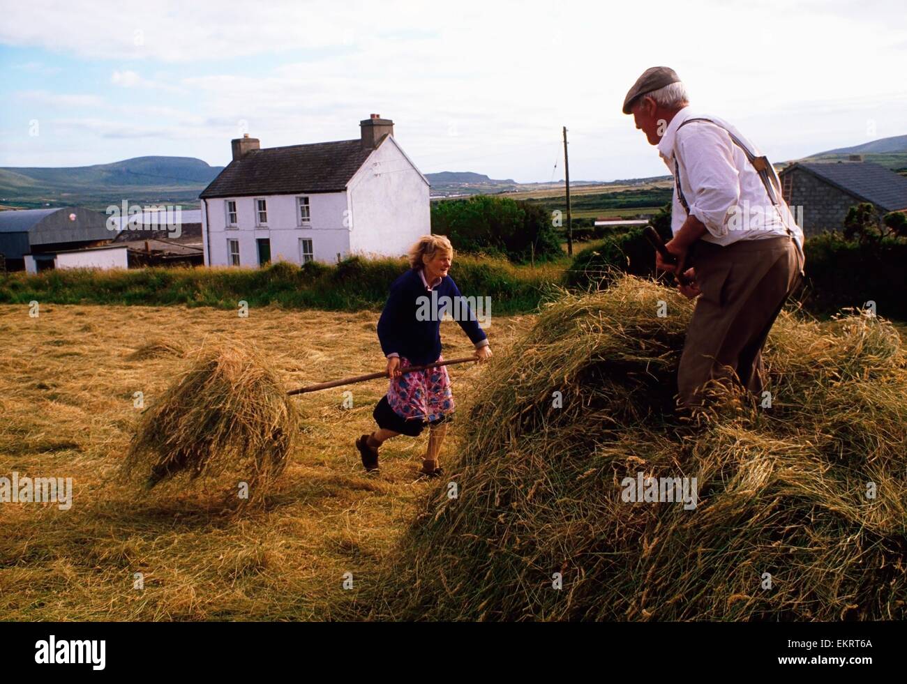 Valentia Island, Co Kerry, Ireland; Traditional Hay Making Stock Photo ...