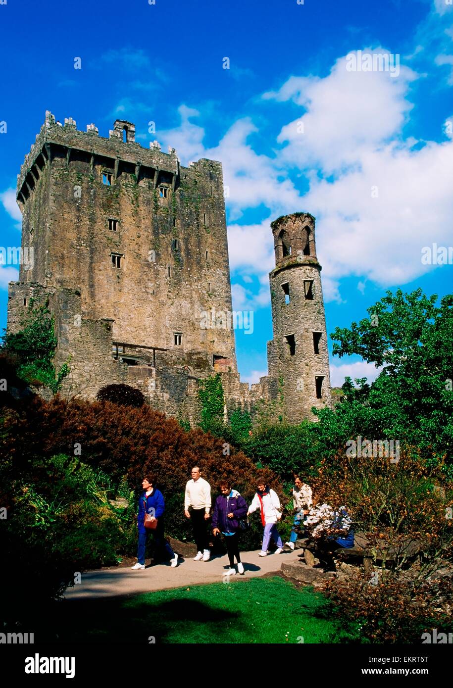 Blarney Castle, Co Cork, Ireland; Medieval Stronghold In Blarney Stock ...