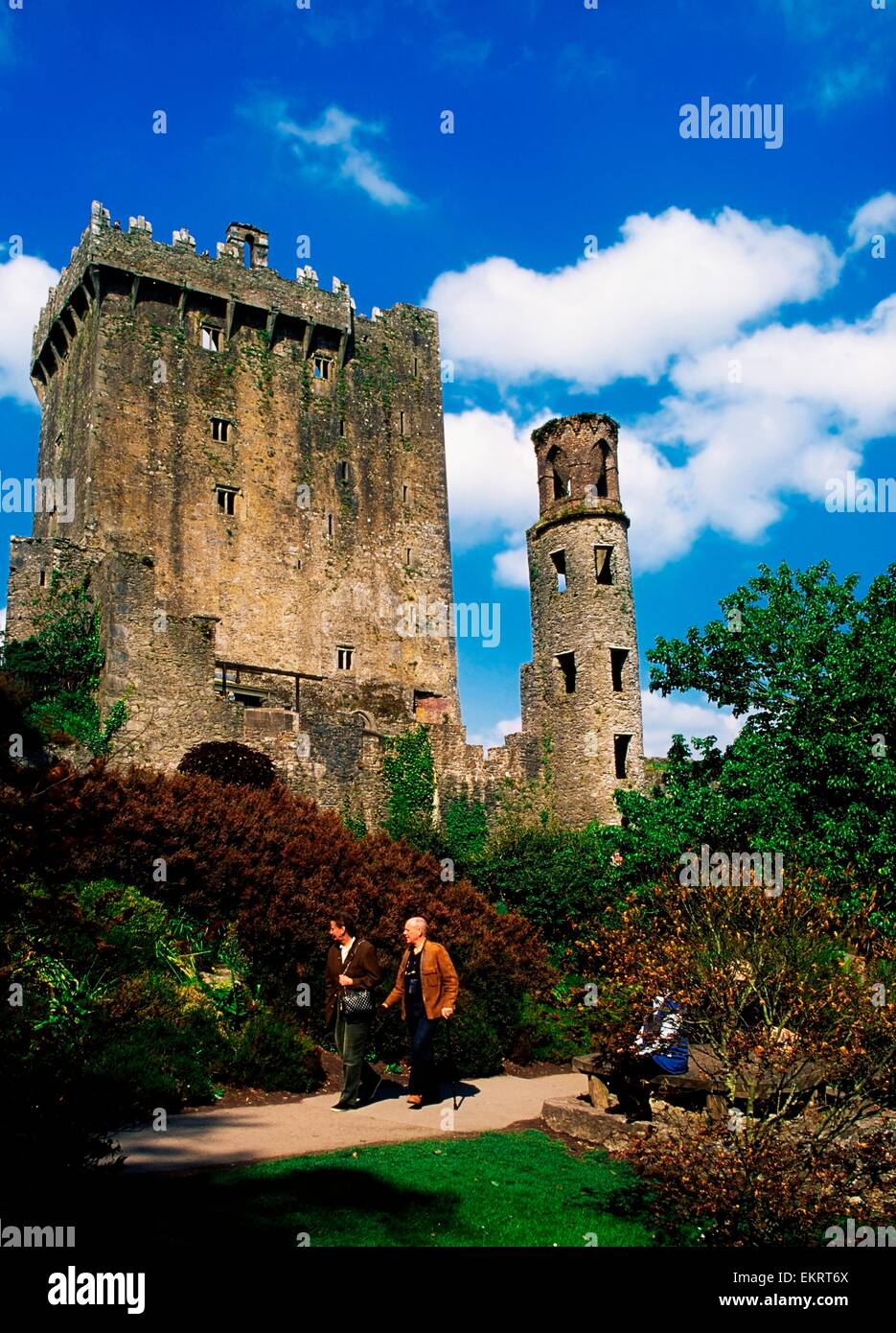 Blarney Castle, Co Cork, Ireland; Medieval Stronghold In Blarney Stock ...