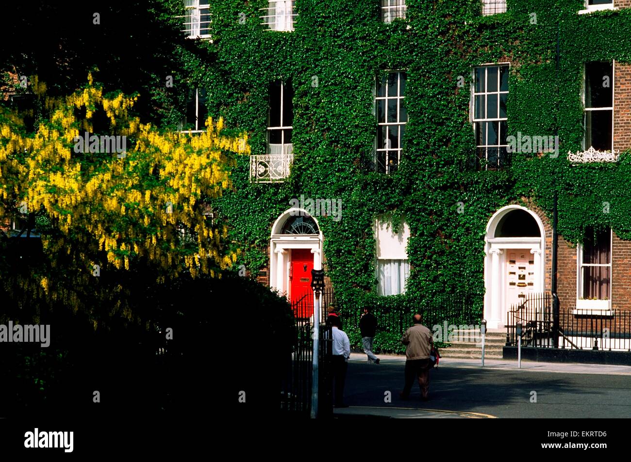 Dublin, Co Dublin, Ireland; Georgian Terraced Houses Stock Photo - Alamy