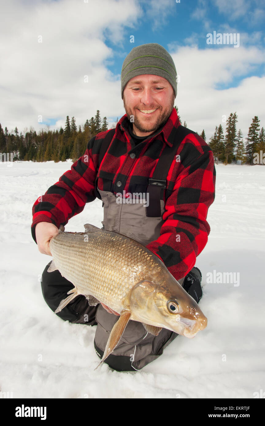 Whitefish ontario hi-res stock photography and images - Alamy