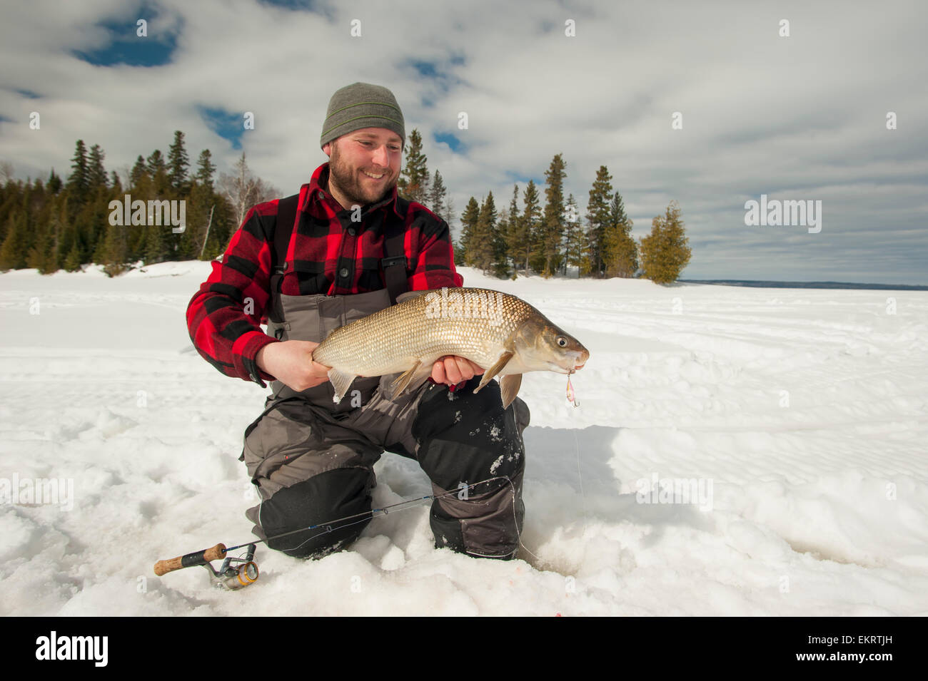 Ice fisherman holding a large whitefish; Ontario, Canada Stock Photo ...