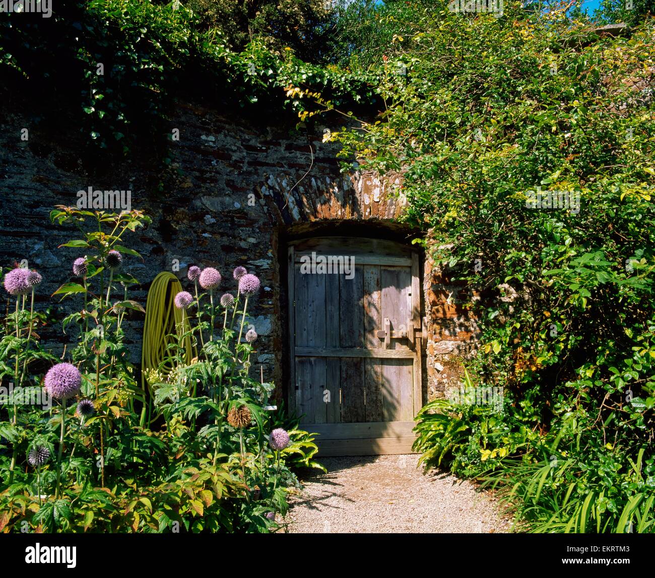 Creagh Gardens High Resolution Stock Photography and Images - Alamy