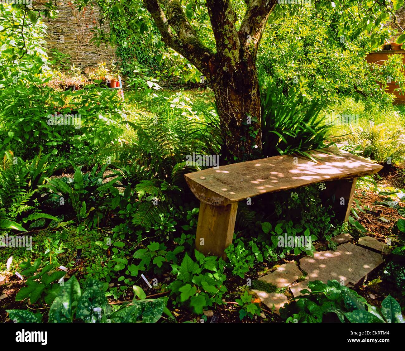 Creagh gardens skibbereen co cork ireland hi-res stock photography and ...