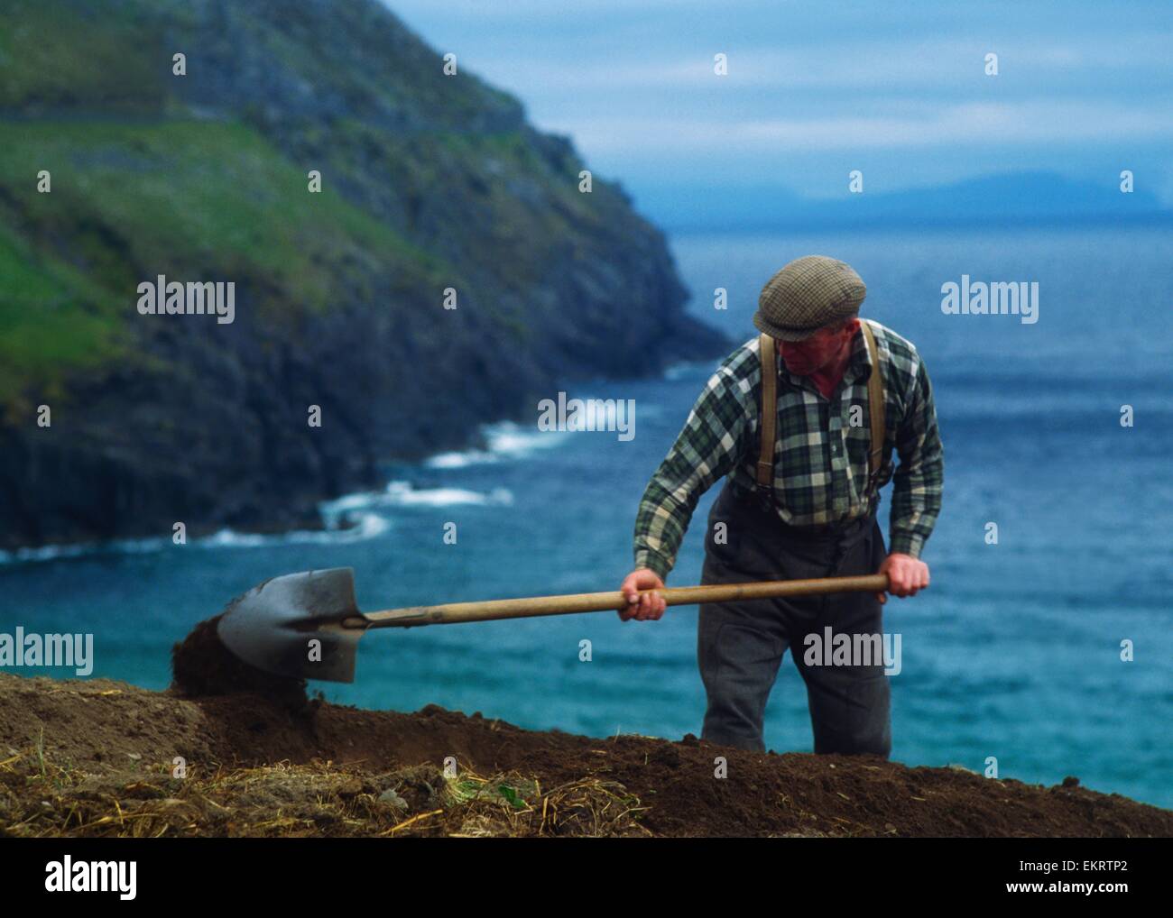 Traditional Farming, Cultivating Potatoes Stock Photo - Alamy