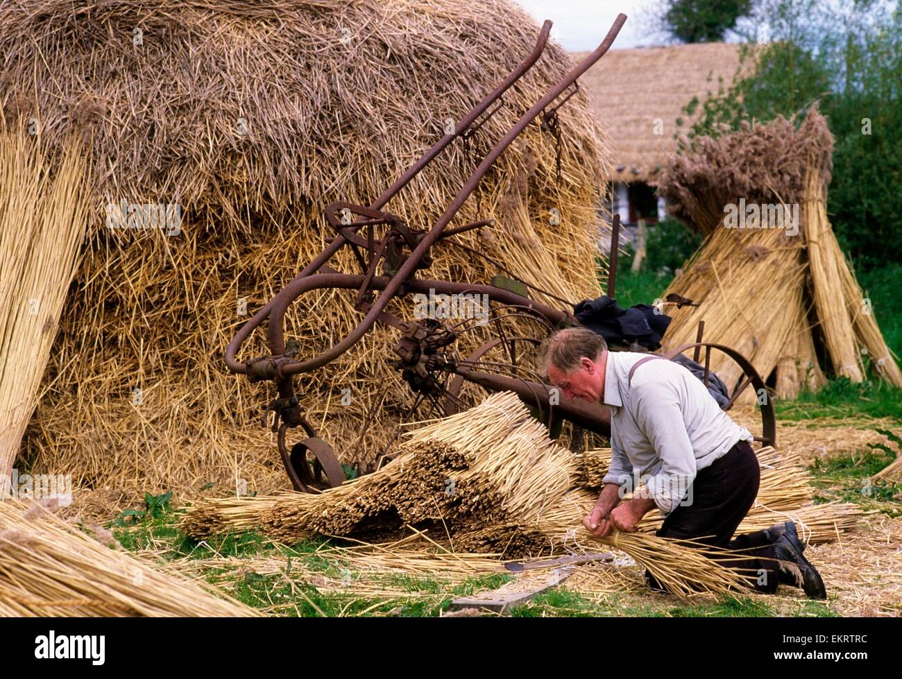 Traditional Thatching, Bunratty, Co Clare Stock Photo - Alamy