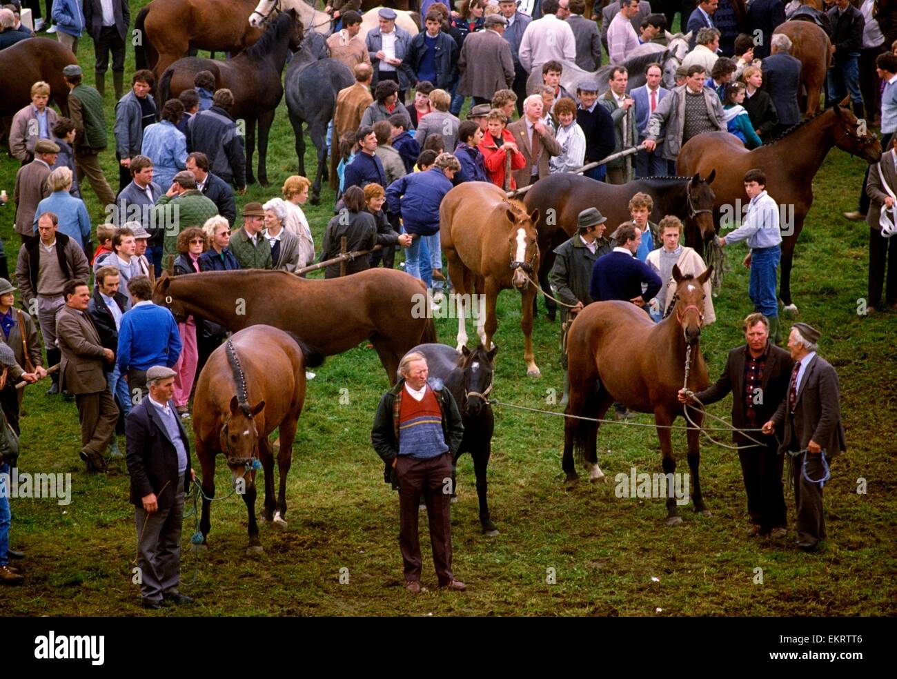 Ballinasloe horse fair hi-res stock photography and images - Alamy