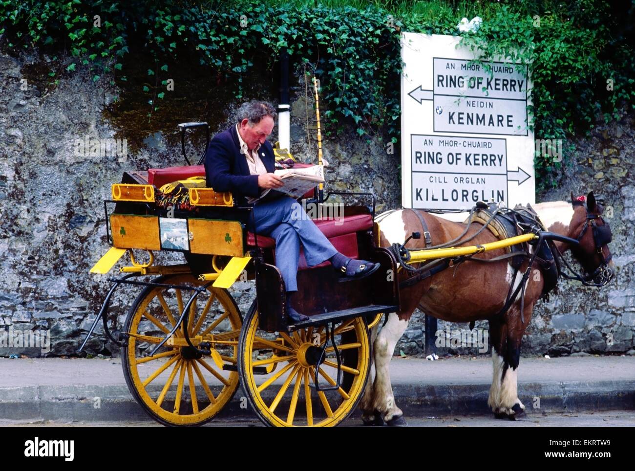 Irish jaunting cart hi-res stock photography and images - Alamy