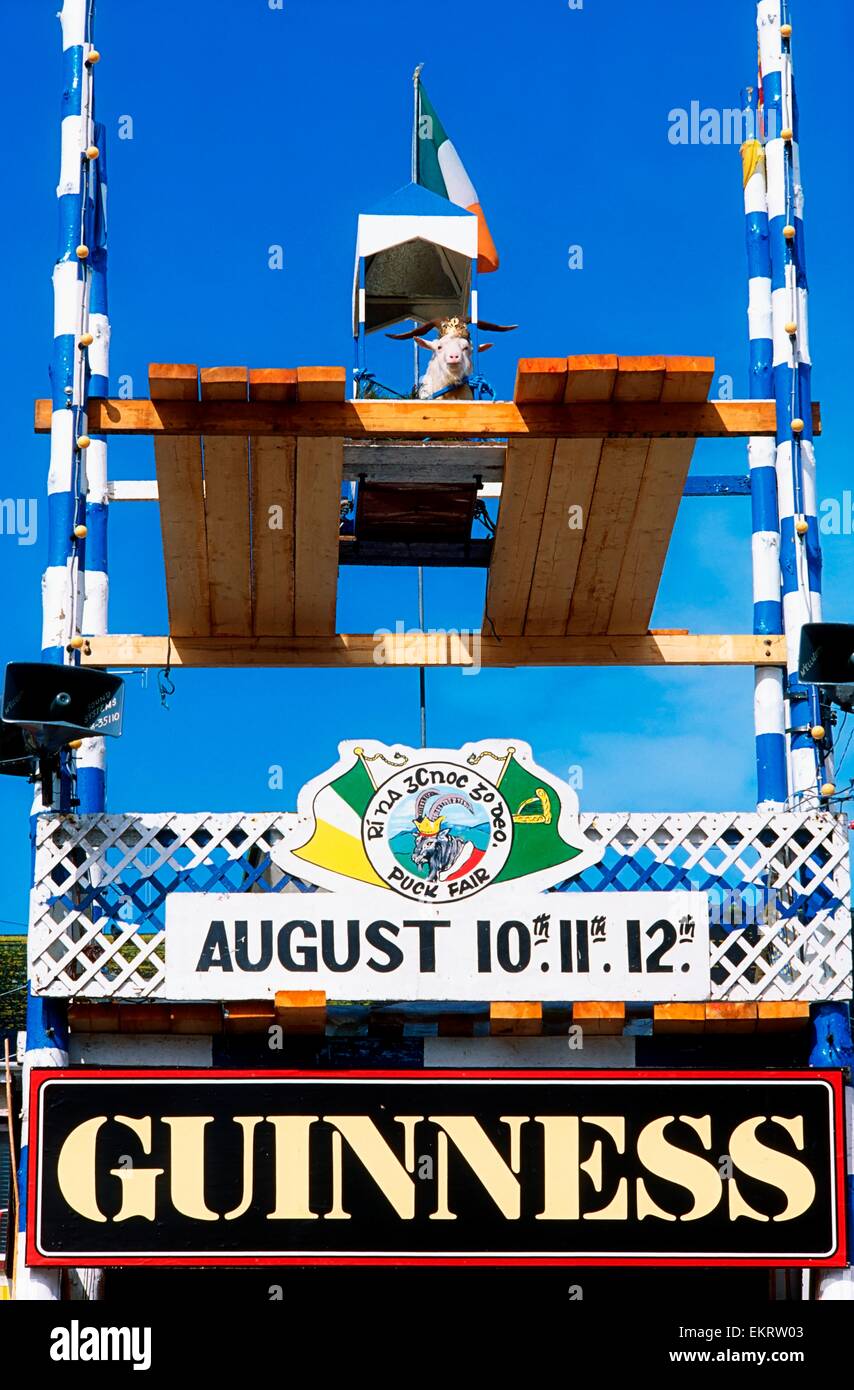 Puck goat hi-res stock photography and images - Alamy