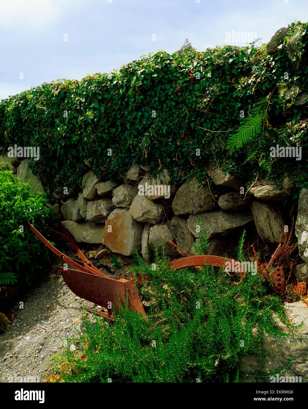 West cork ploughing hi-res stock photography and images - Alamy