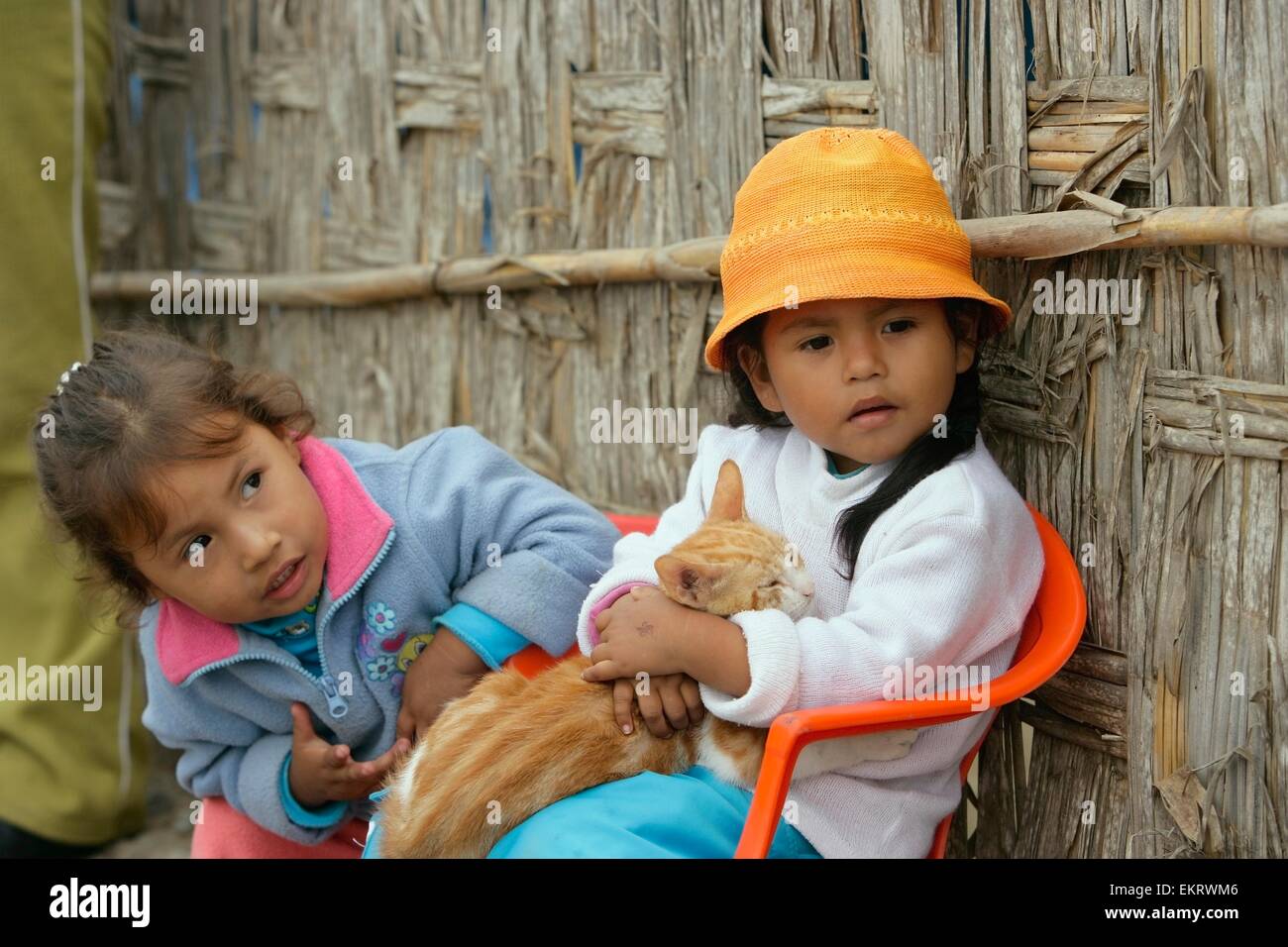 Children Snuggling With Cat, Lima, Peru Stock Photo - Alamy