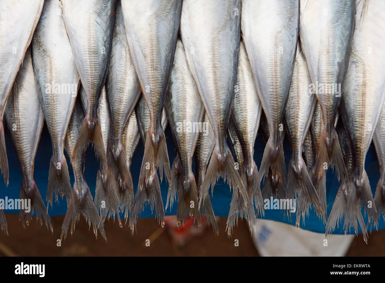 Fish Hanging In Market, Lima, Peru Stock Photo - Alamy