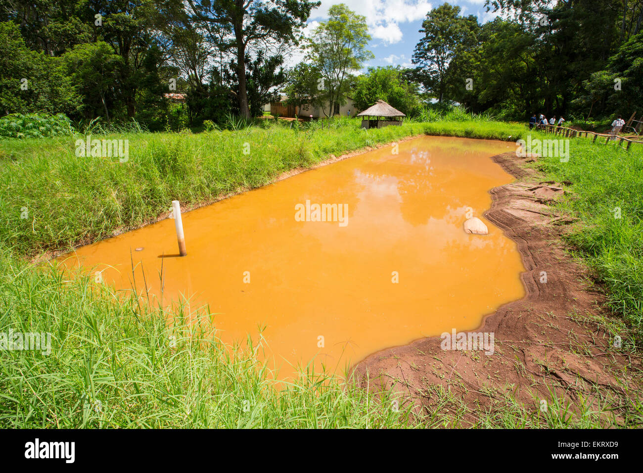 Fish pond malawi hi-res stock photography and images - Alamy